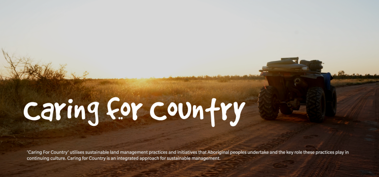 Caring for Country – The Yumbangku Aboriginal Cultural Heritage and ...